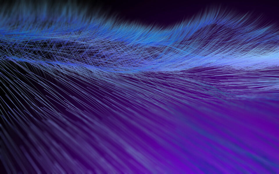 Furry Colour Experiments – Moment Factory