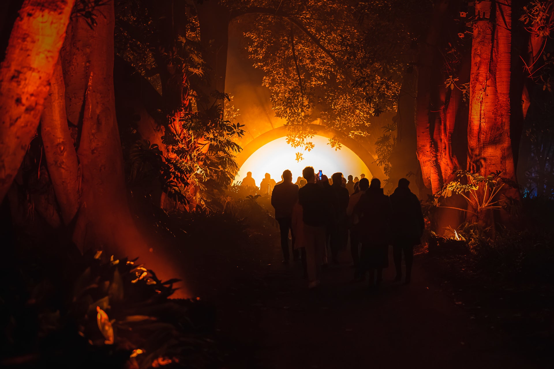 Light Cycles all set to shine in New Zealand | Moment Factory