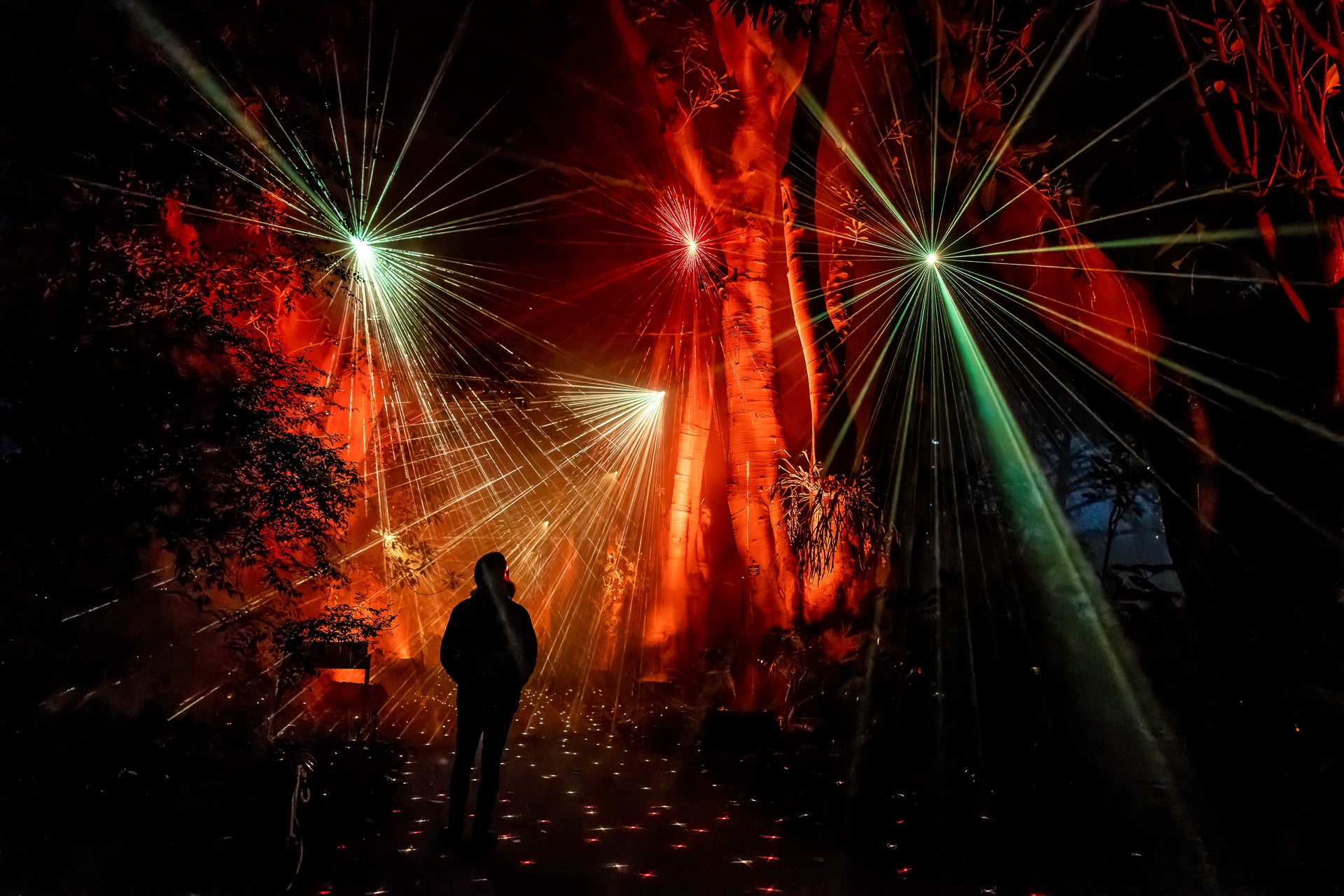 Light Cycles all set to shine in New Zealand | Moment Factory