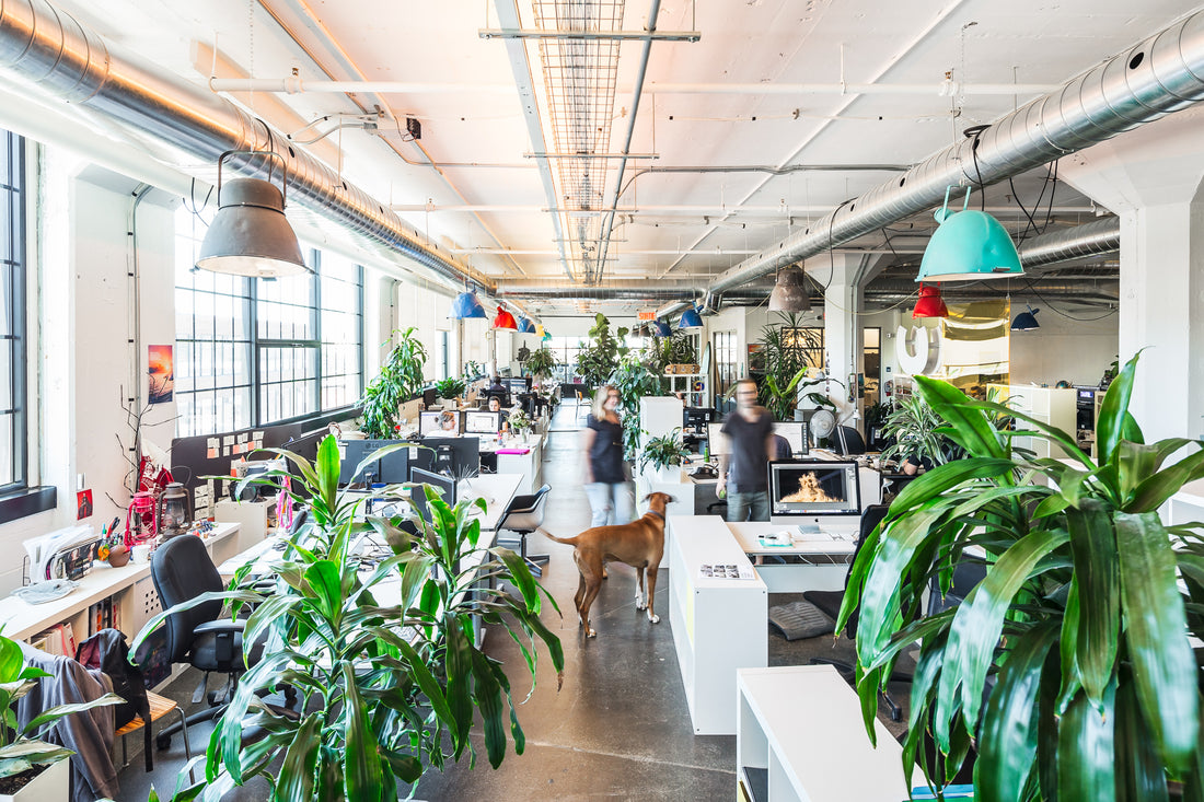 About – Moment Factory