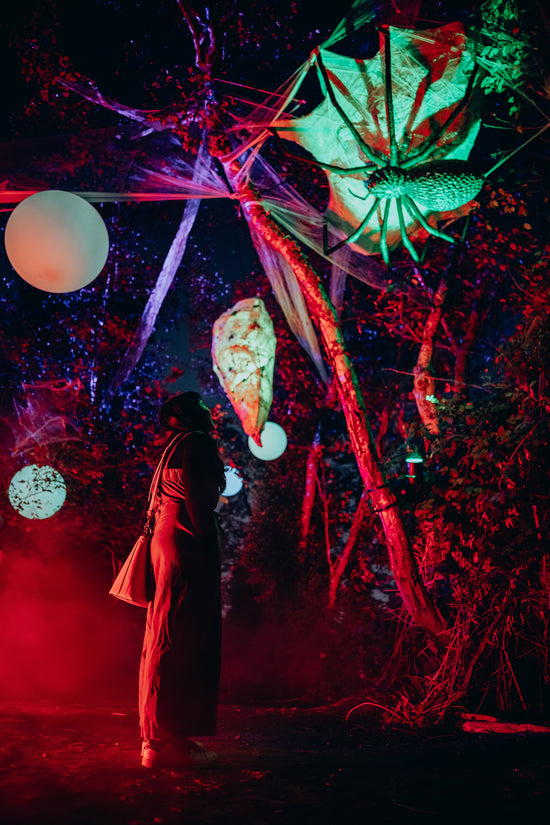 Forest of Shadows | Moment Factory