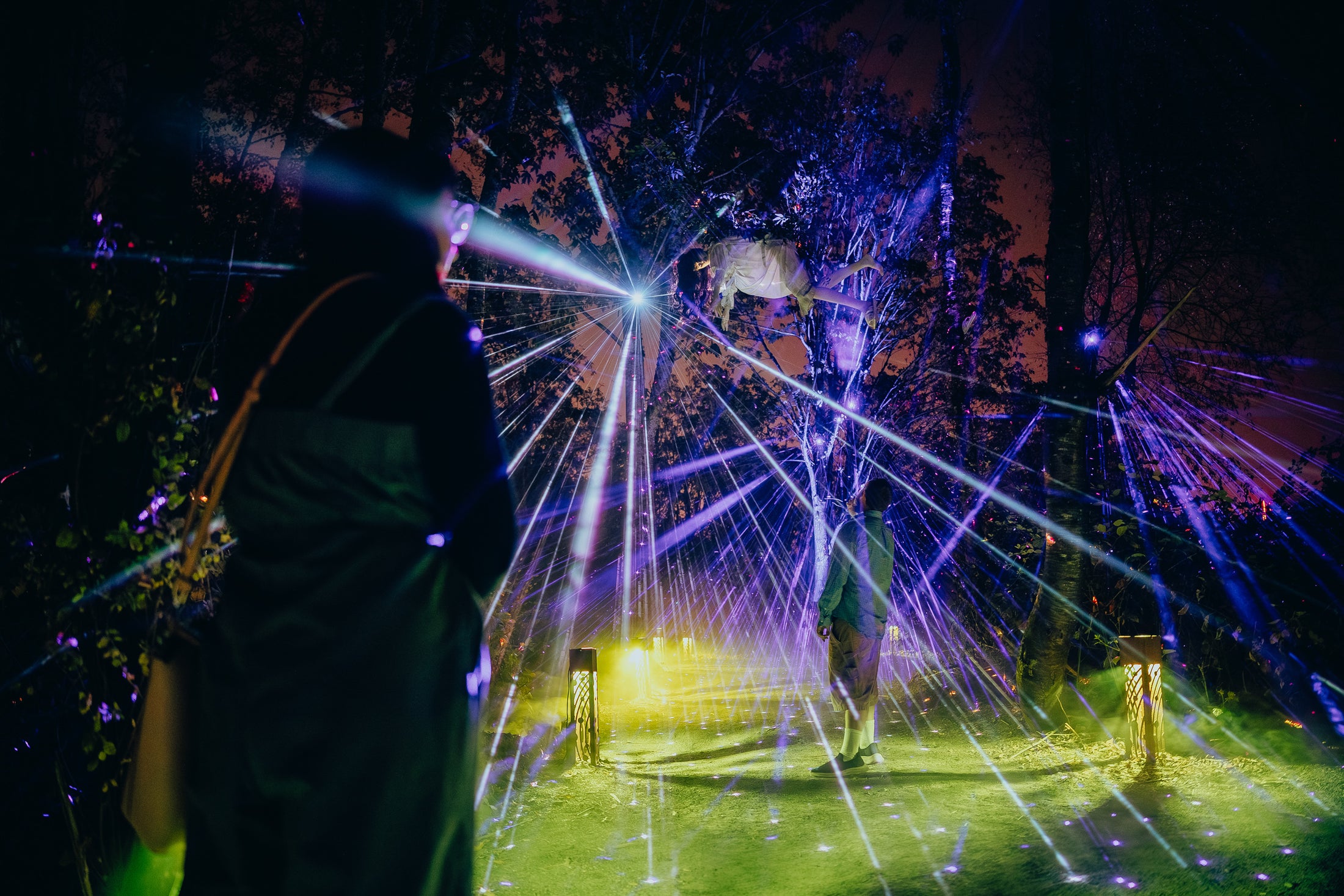 Forest of Shadows | Moment Factory