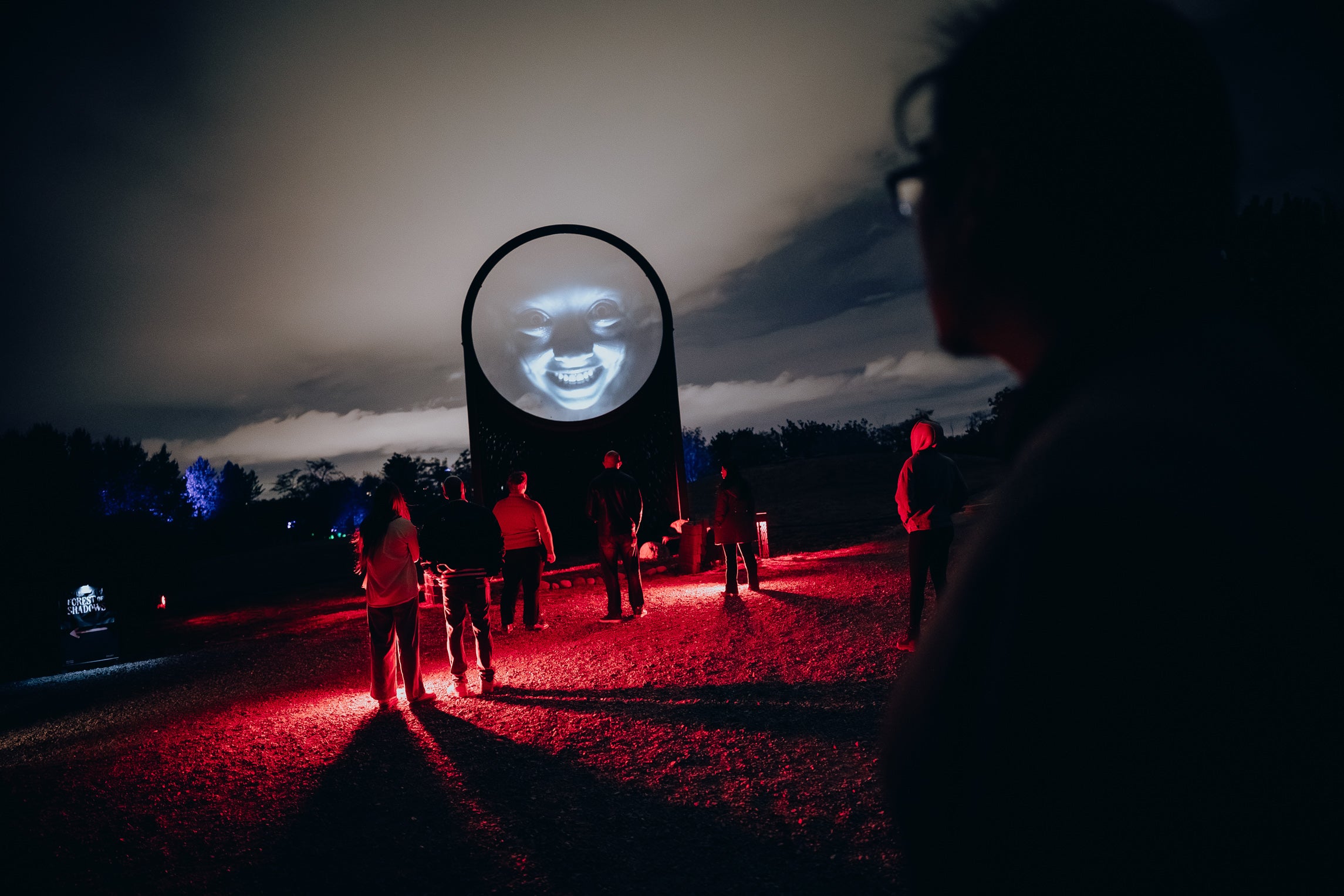 Forest of Shadows | Moment Factory