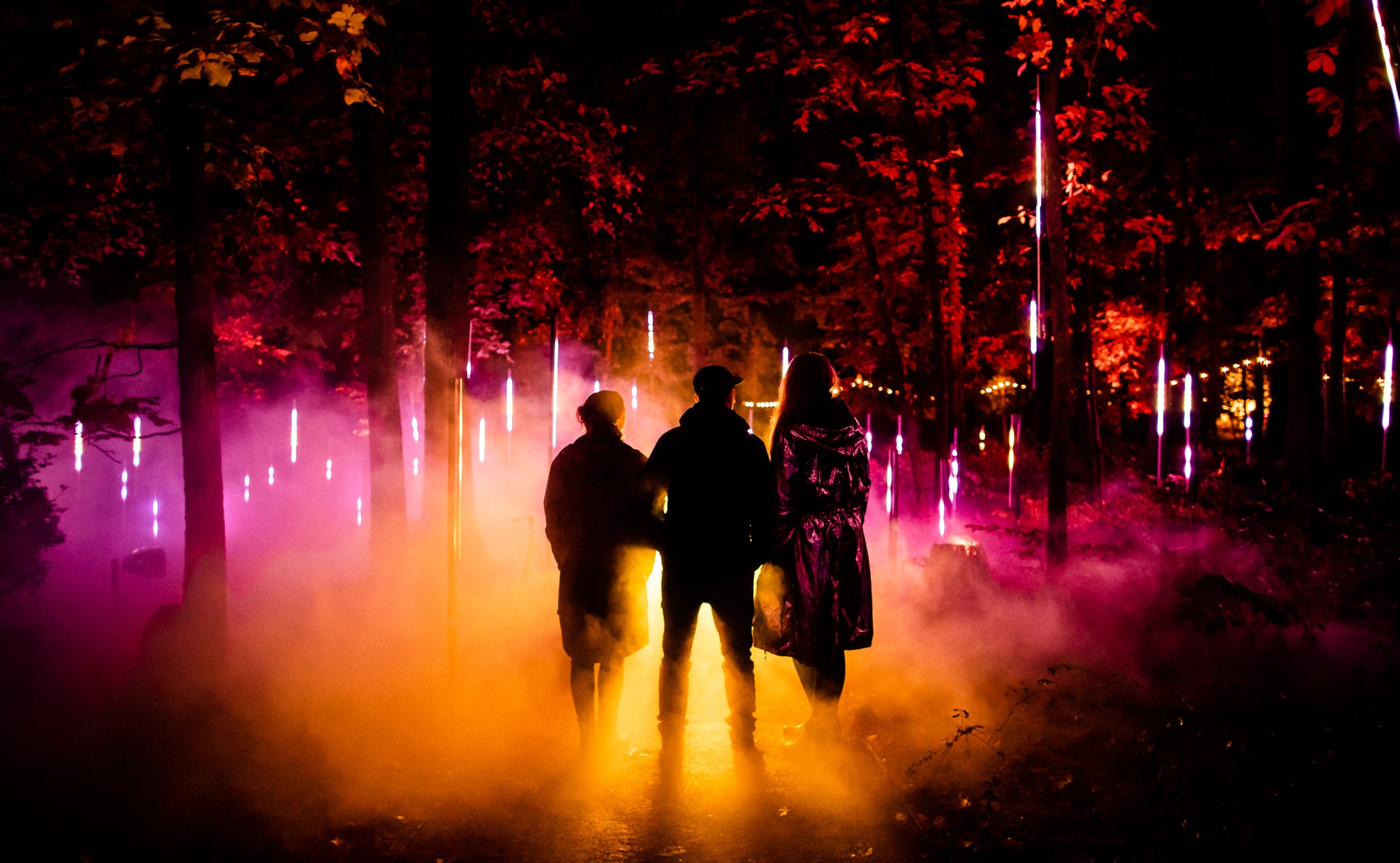 North Forest Lights | Moment Factory