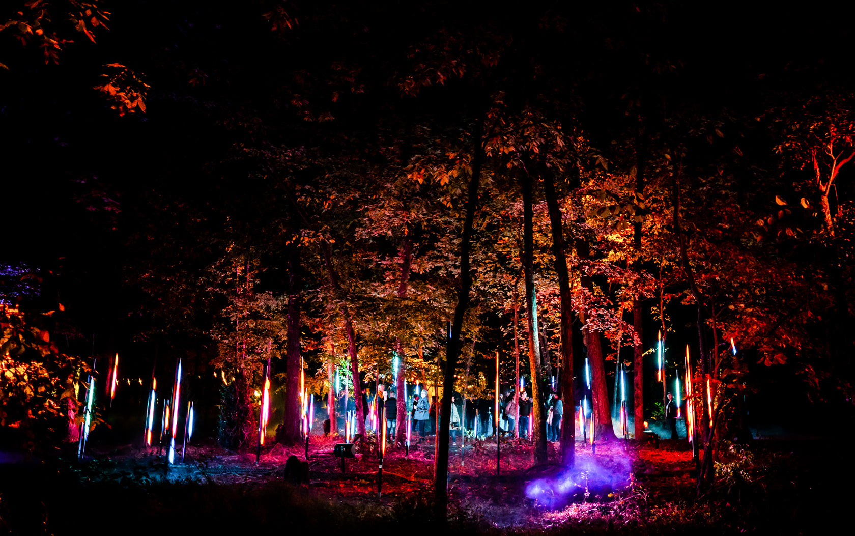 North Forest Lights | Moment Factory