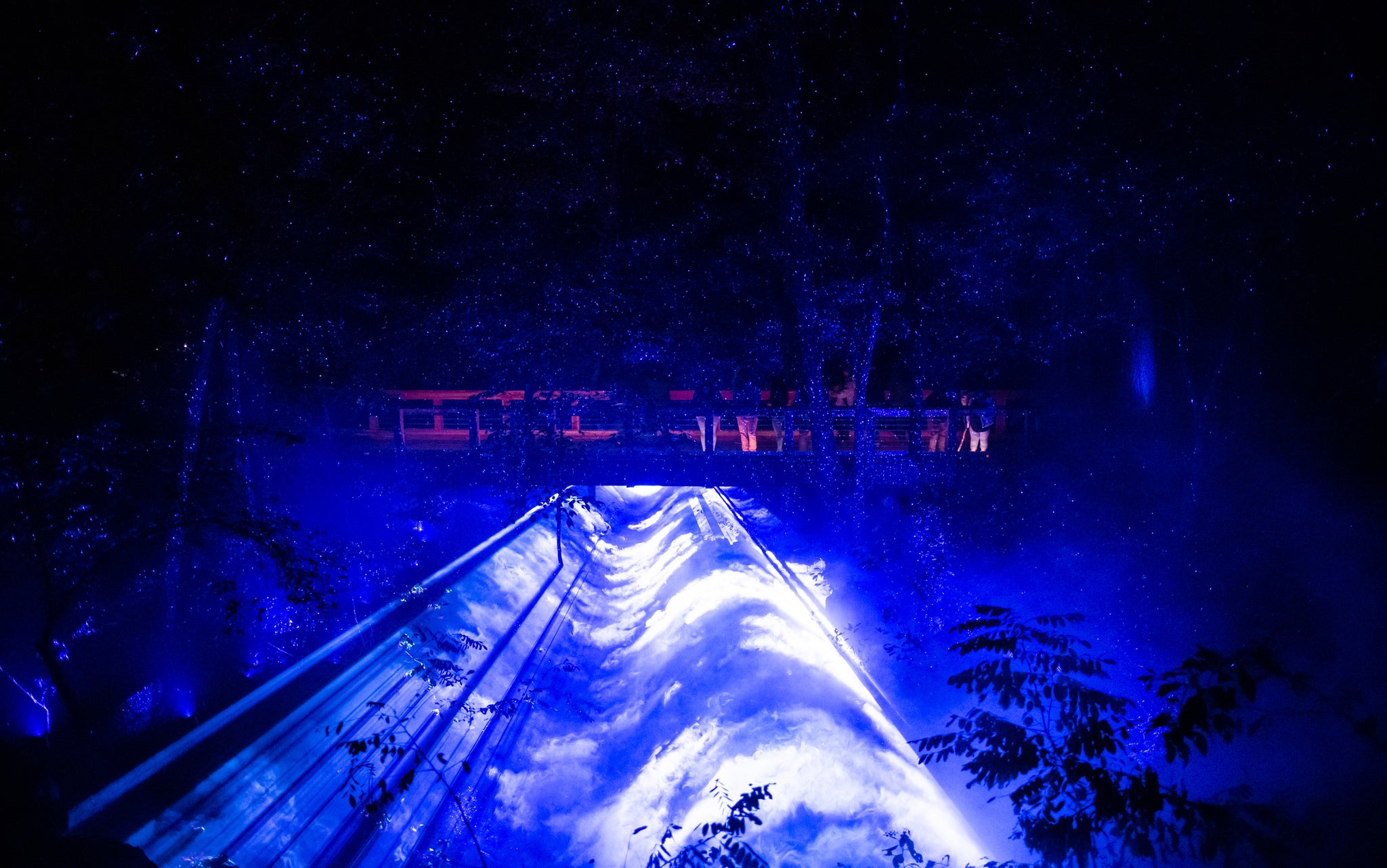 North Forest Lights | Moment Factory
