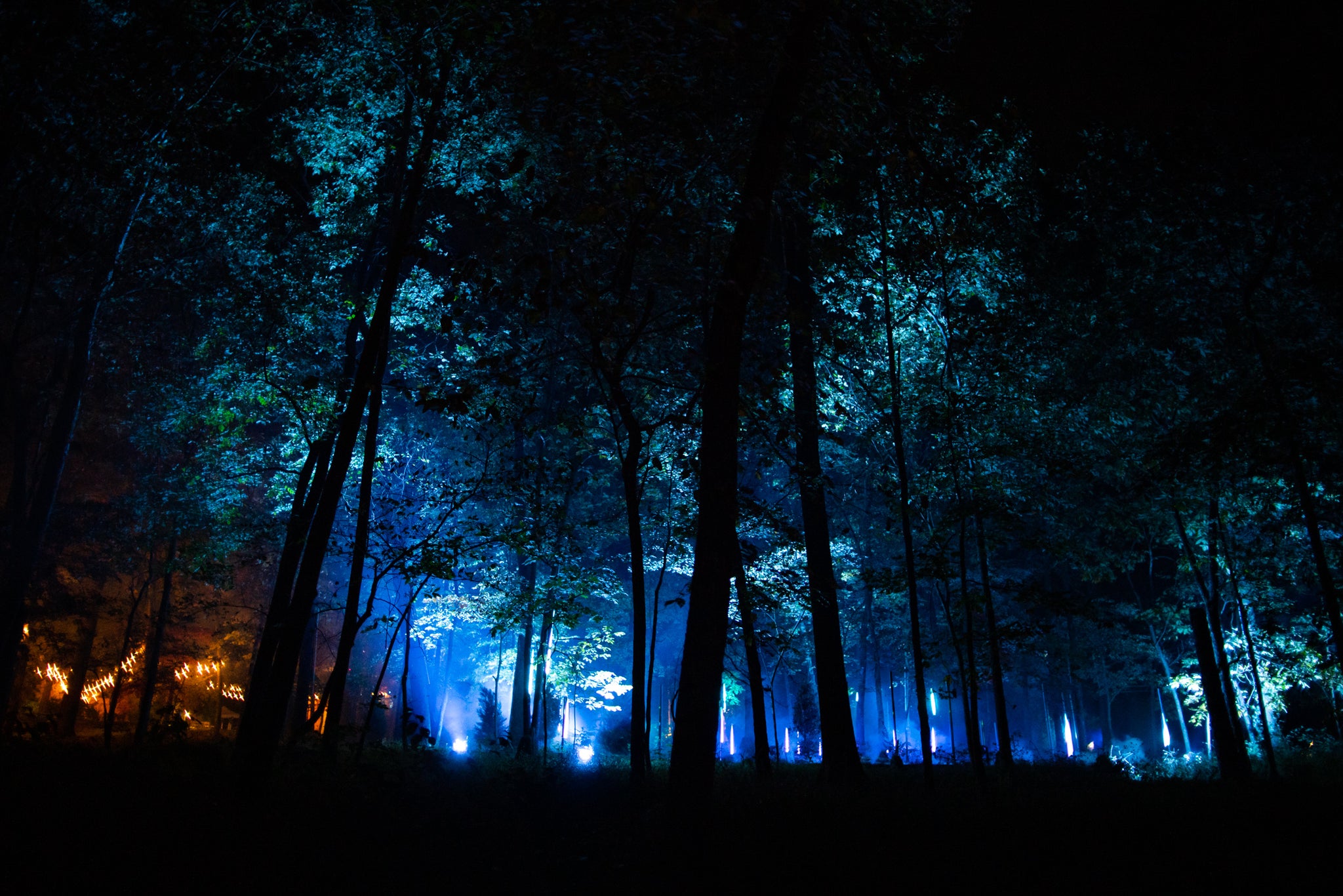 North Forest Lights | Moment Factory