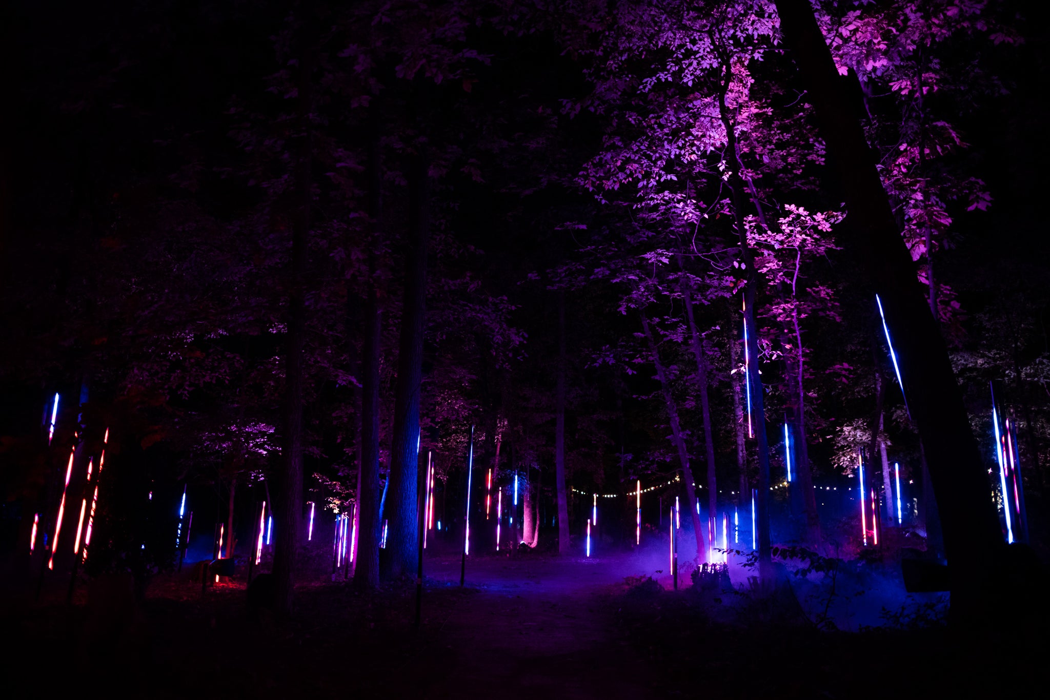 North Forest Lights | Moment Factory