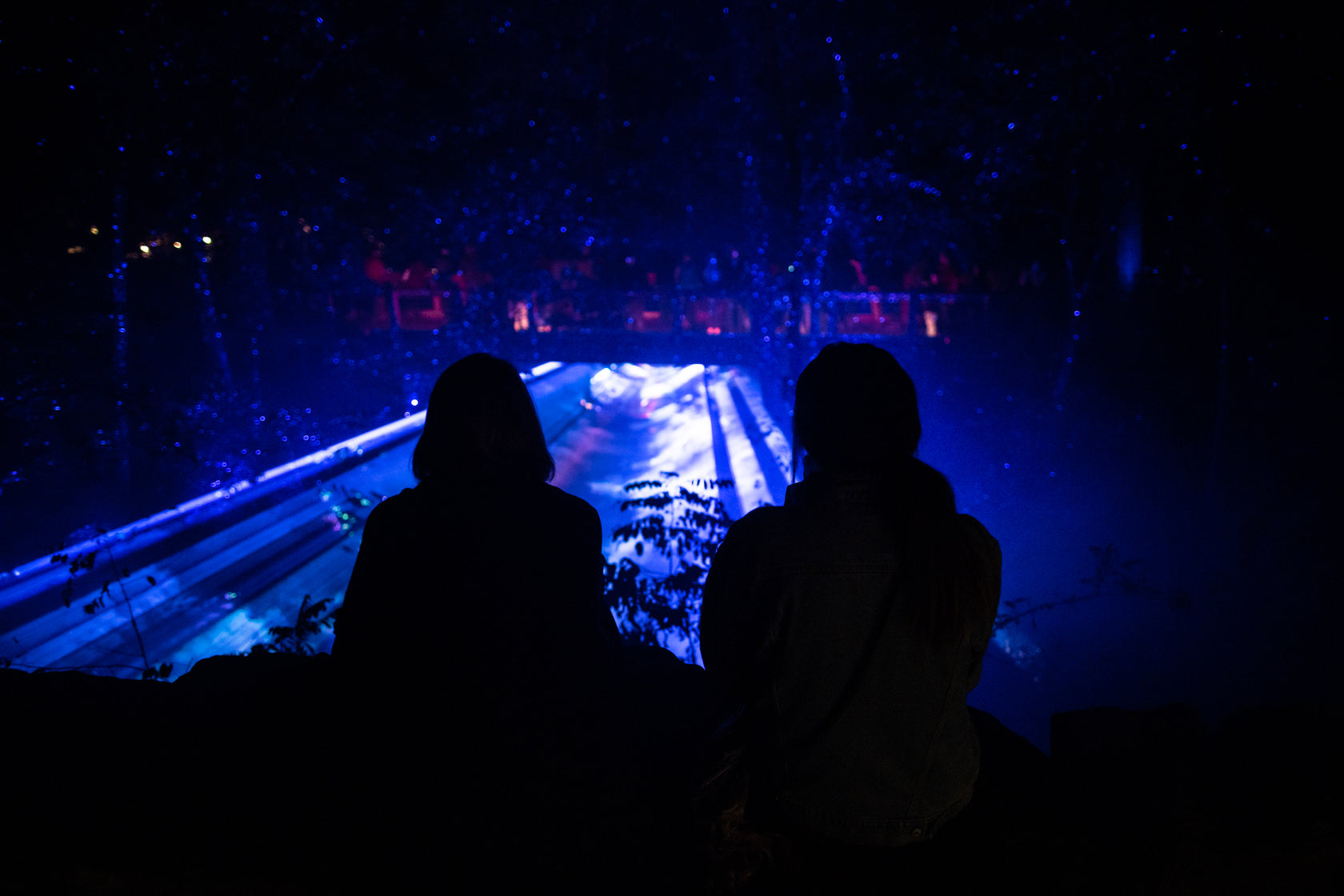 North Forest Lights | Moment Factory