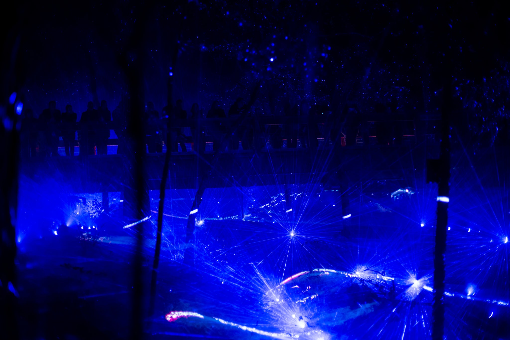 North Forest Lights | Moment Factory