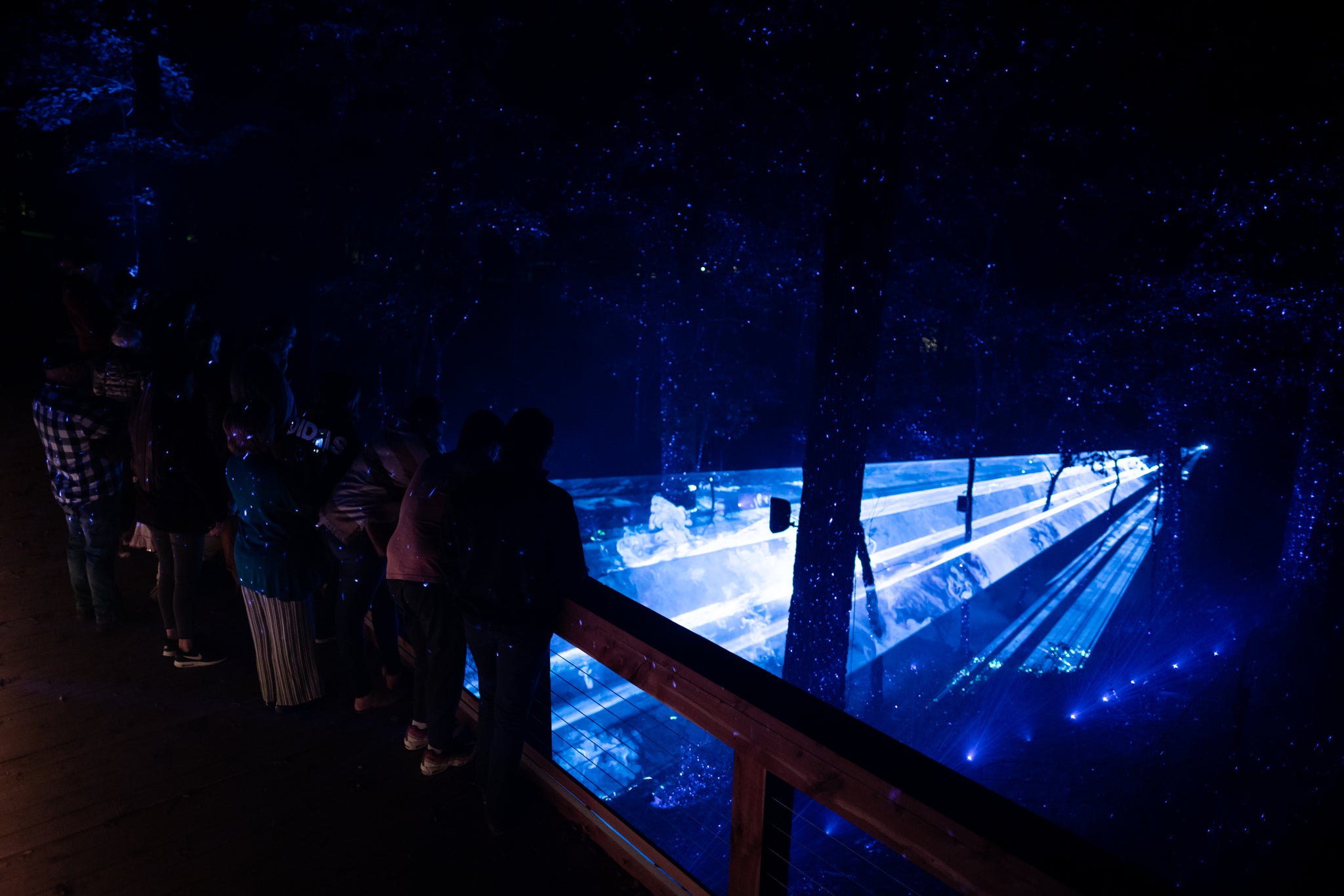 North Forest Lights | Moment Factory