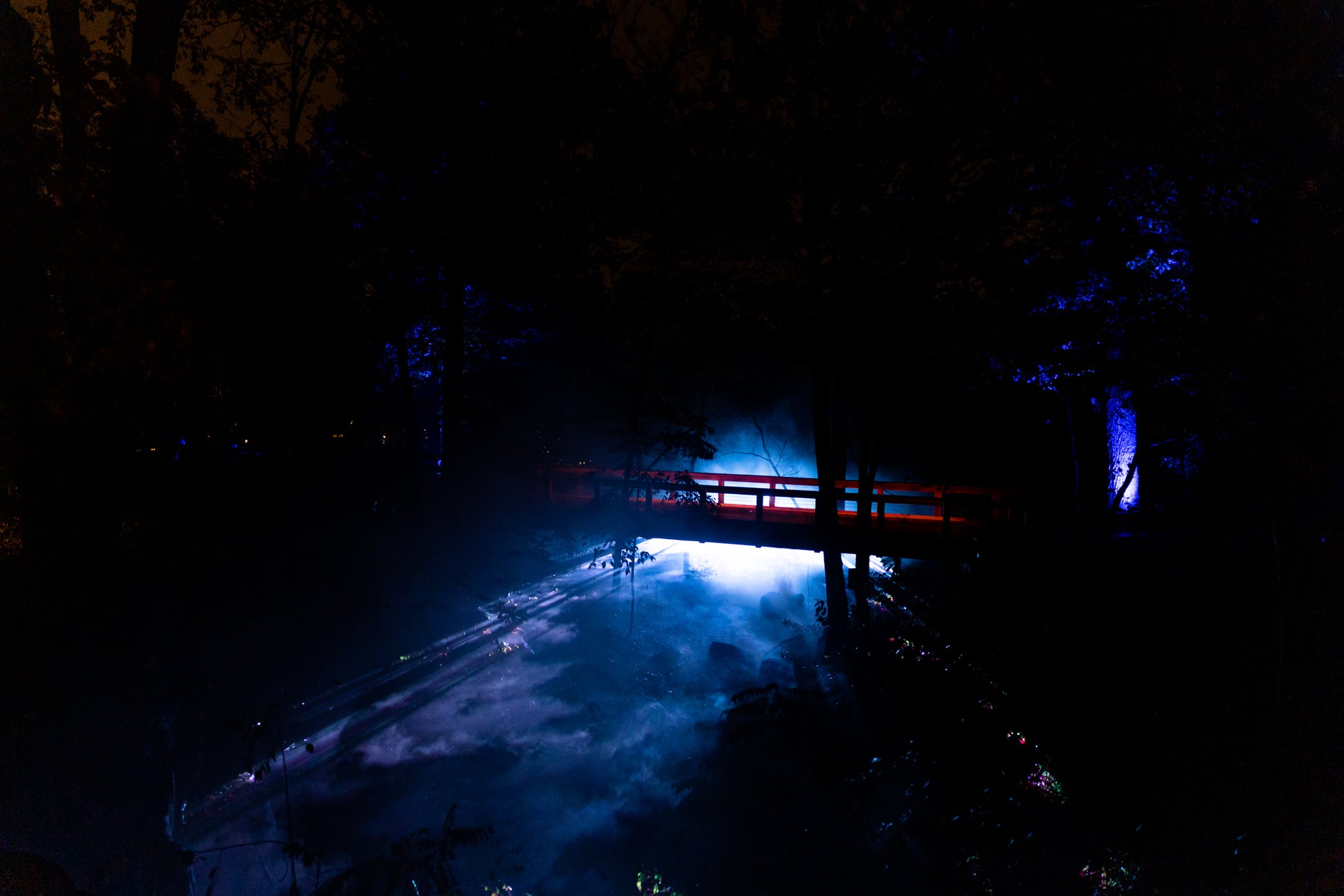 North Forest Lights | Moment Factory