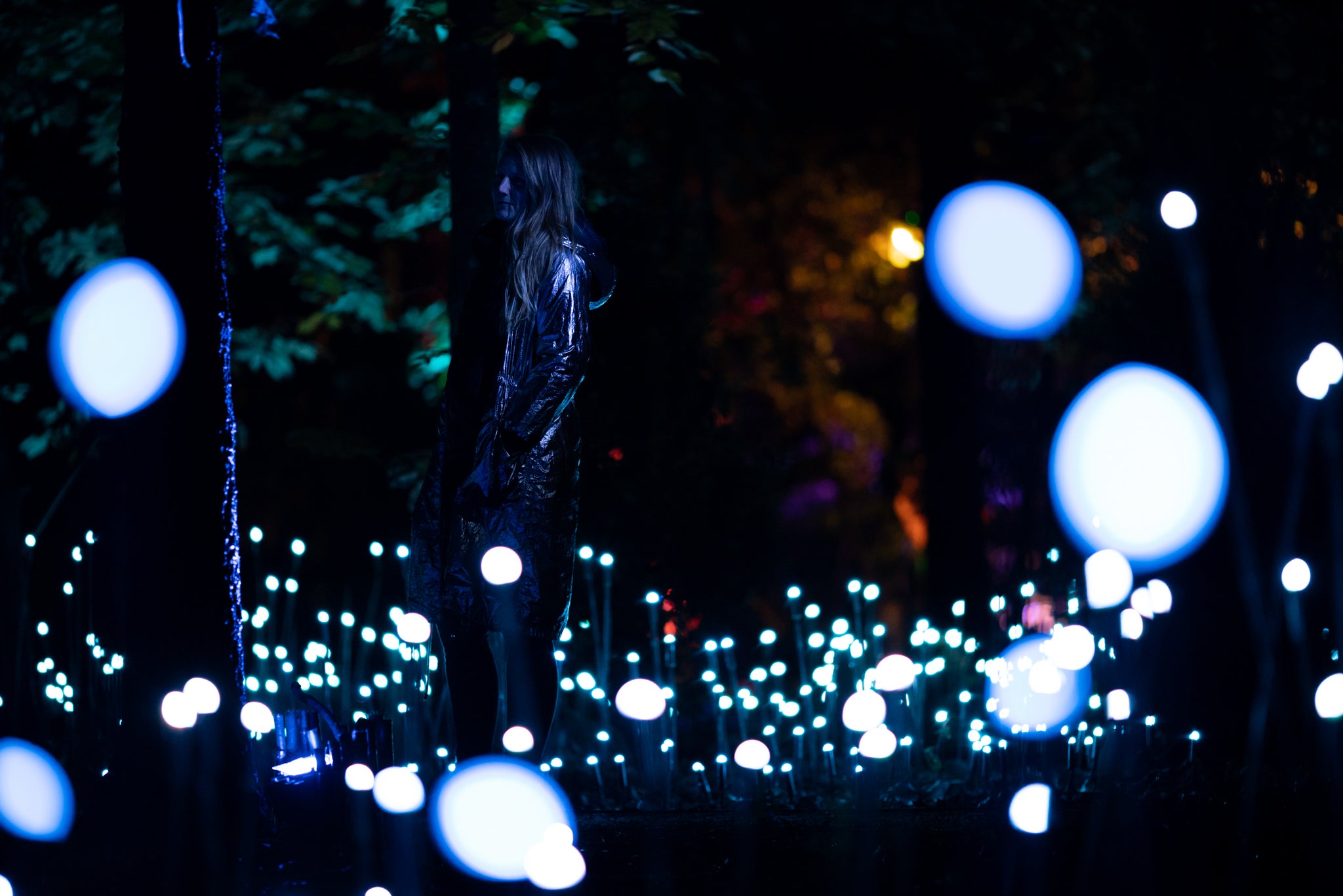 North Forest Lights | Moment Factory