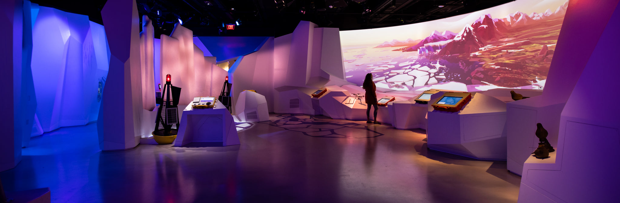 Arctic adventure: An Immersive Exhibition I Moment Factory