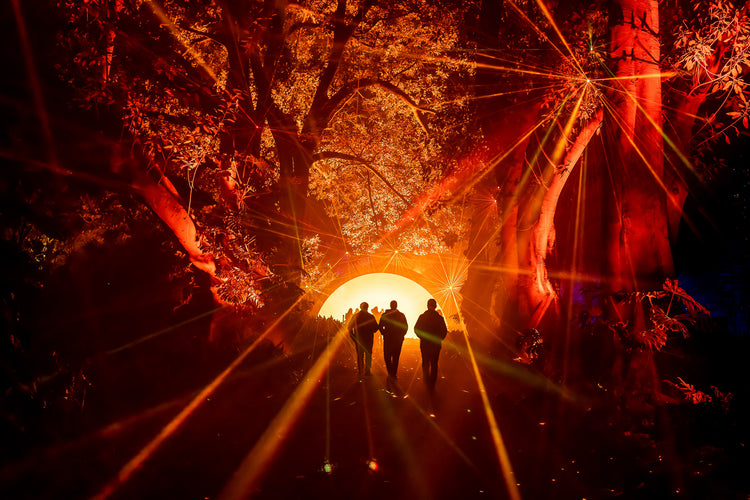 7 Ways Immersive Storytelling Sparks Emotions (and How We Do It ...