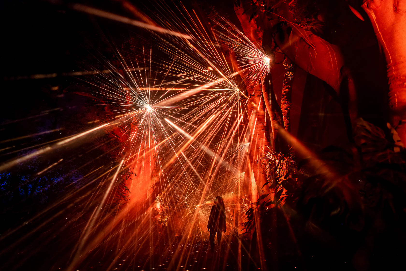 Light Cycles I Moment Factory