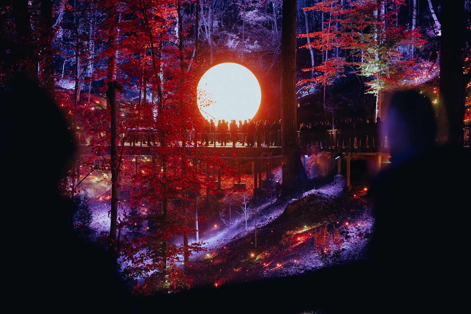 Smoky Night Lights | Moment Factory