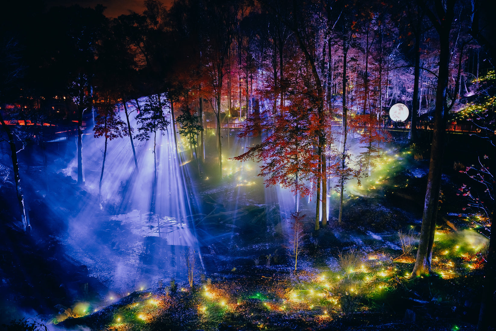 Smoky Night Lights | Moment Factory