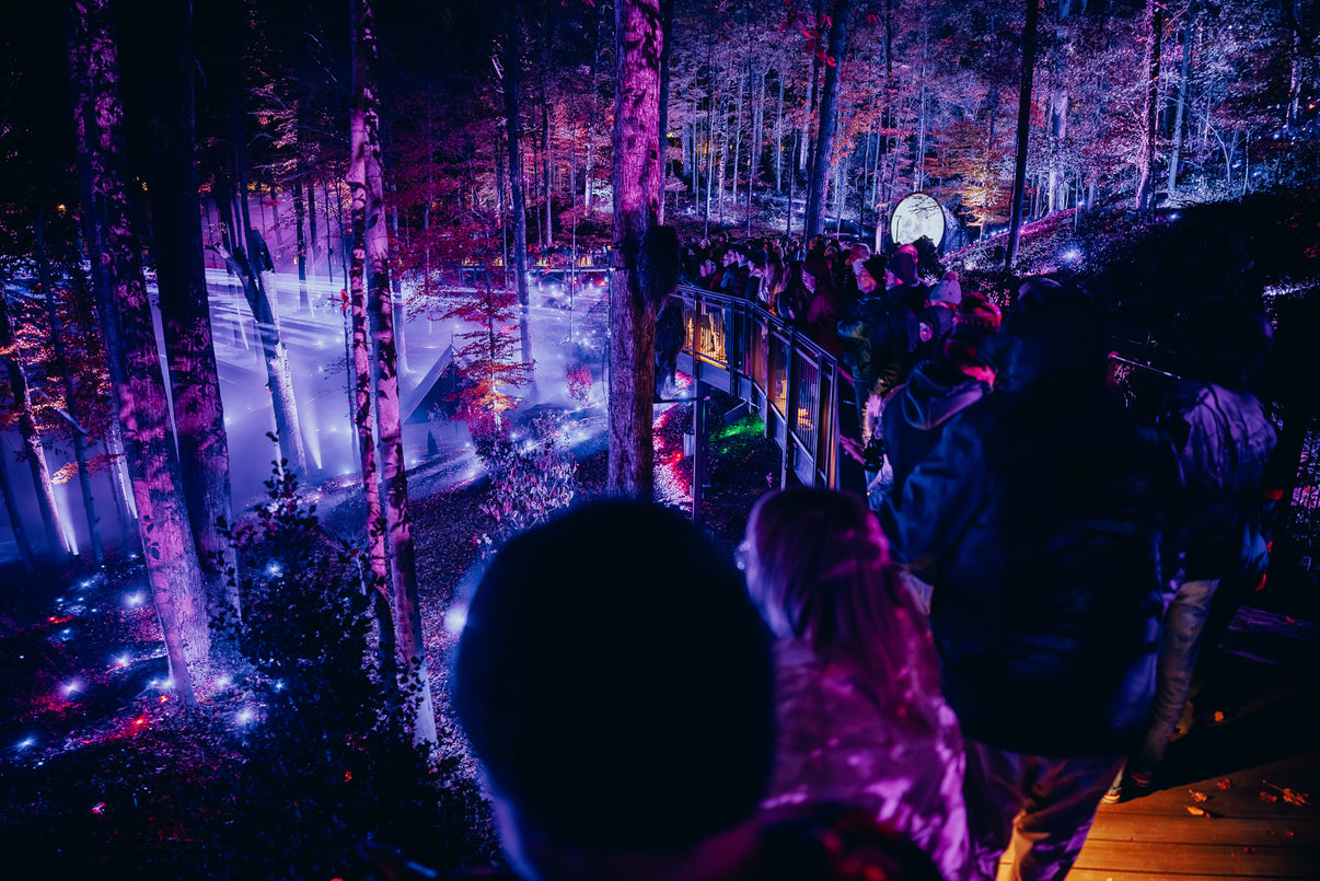 Smoky Night Lights | Moment Factory