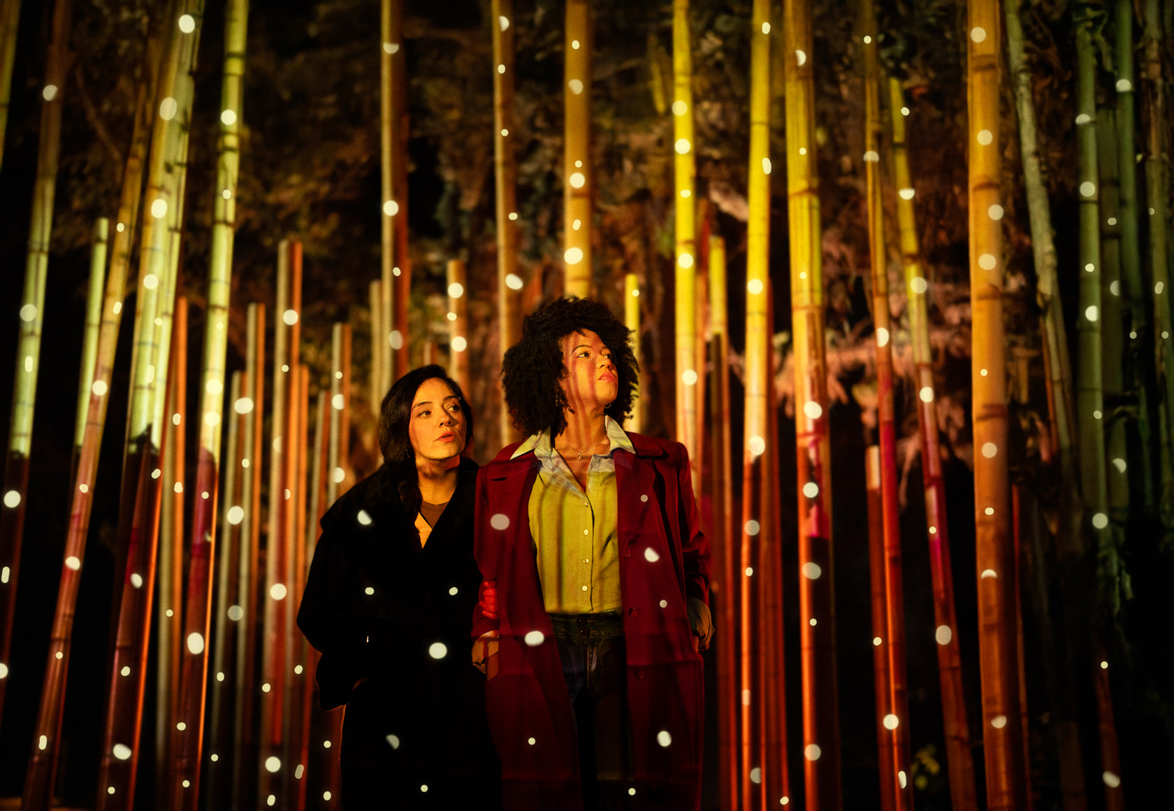 Light Cycles I Moment Factory