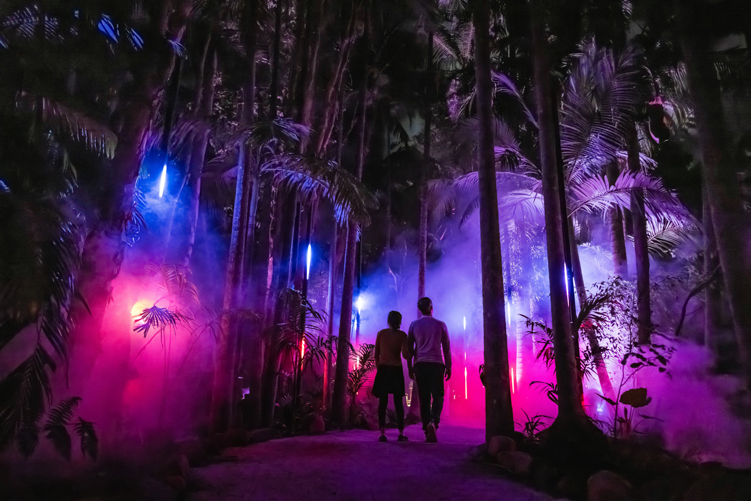 25 Facts for Moment Factory's 25th Lumina Enchanted Night Walk