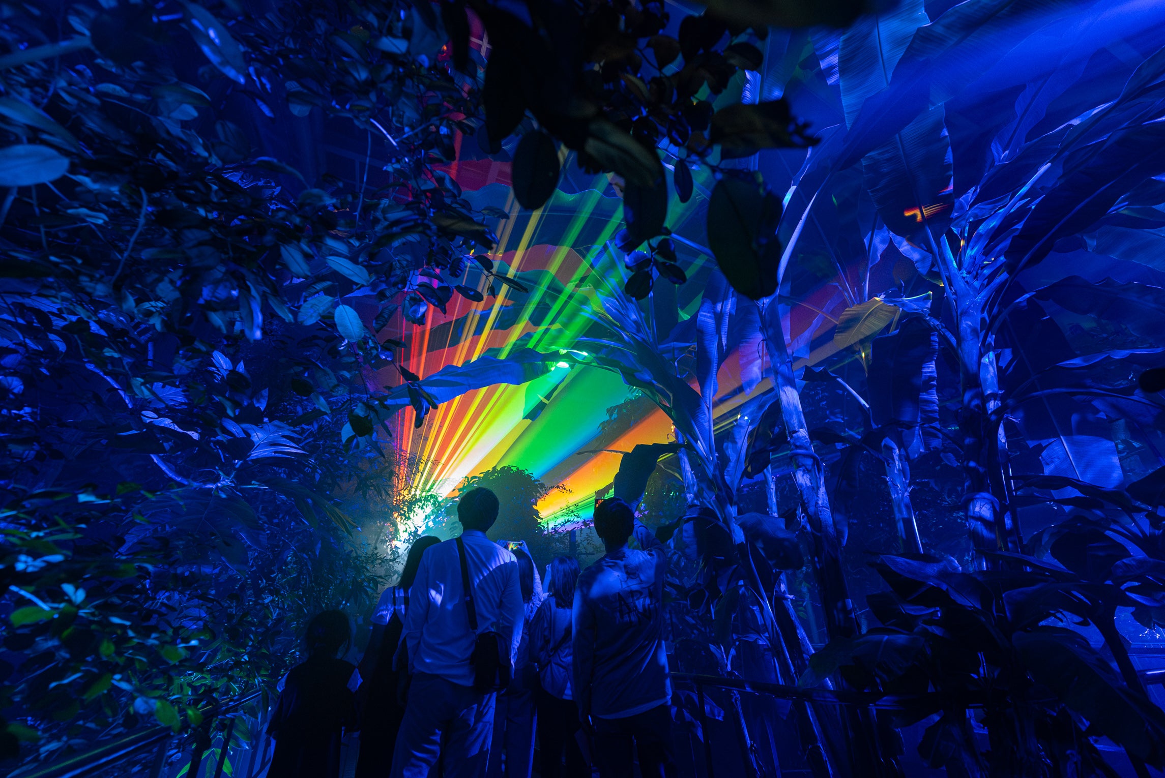Light Cycles Kyoto I Moment Factory