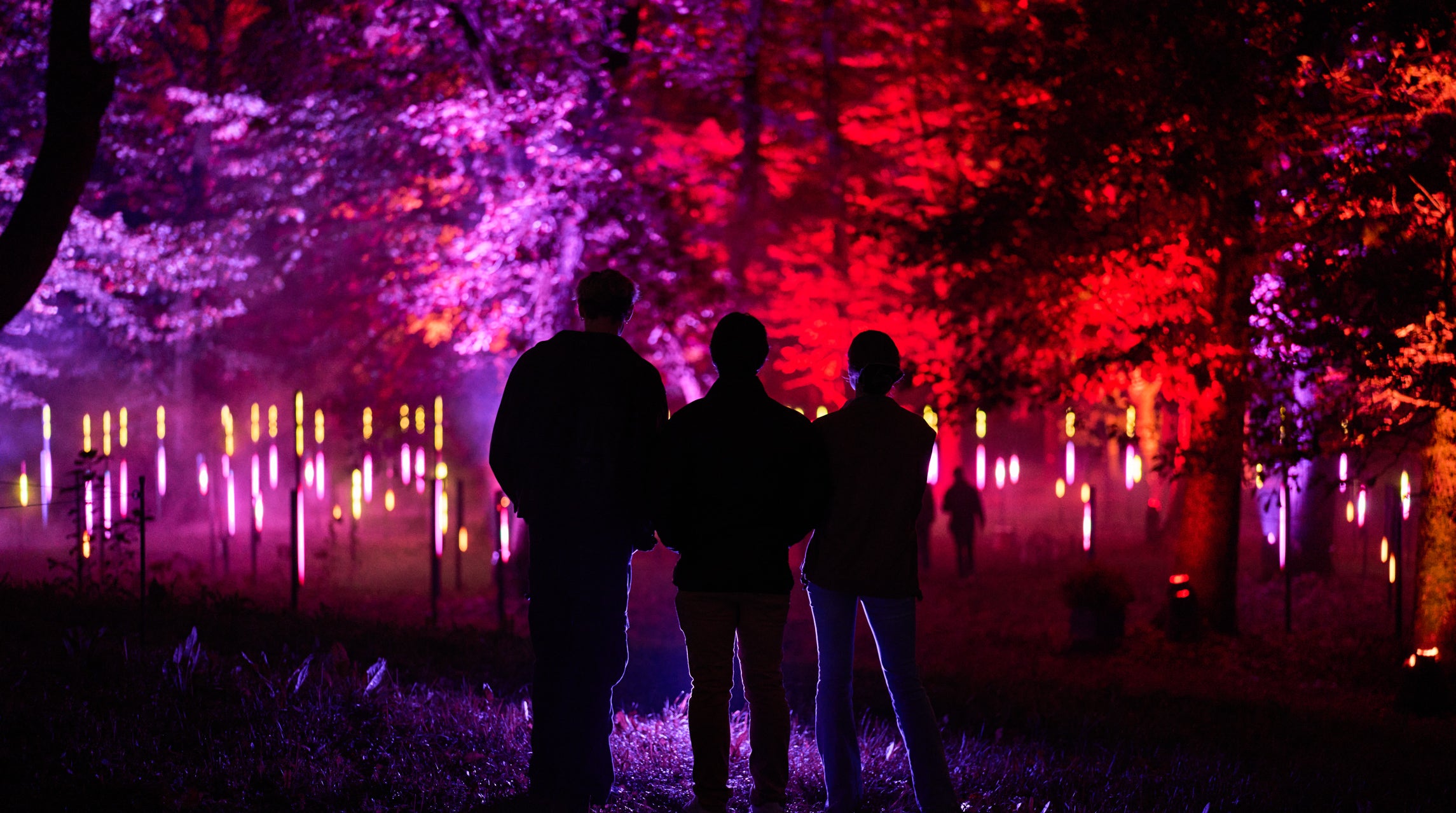 Light Cycles’ European debut: blending art and nature – Moment Factory