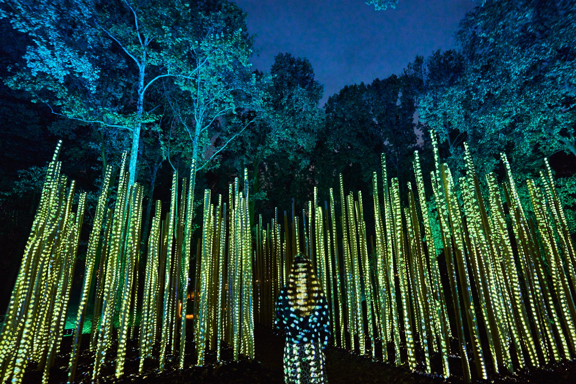 Light Cycles’ European debut: blending art and nature – Moment Factory