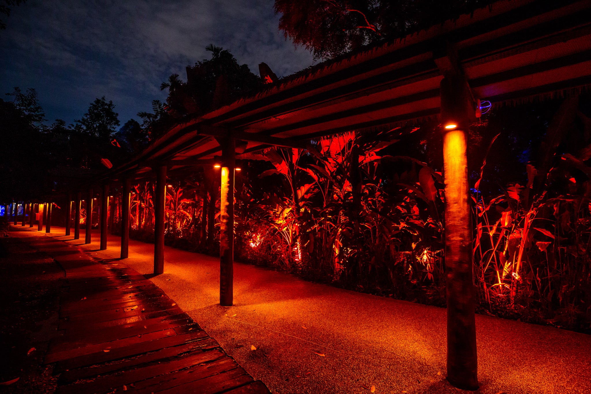 Rainforest Lumina | Moment Factory