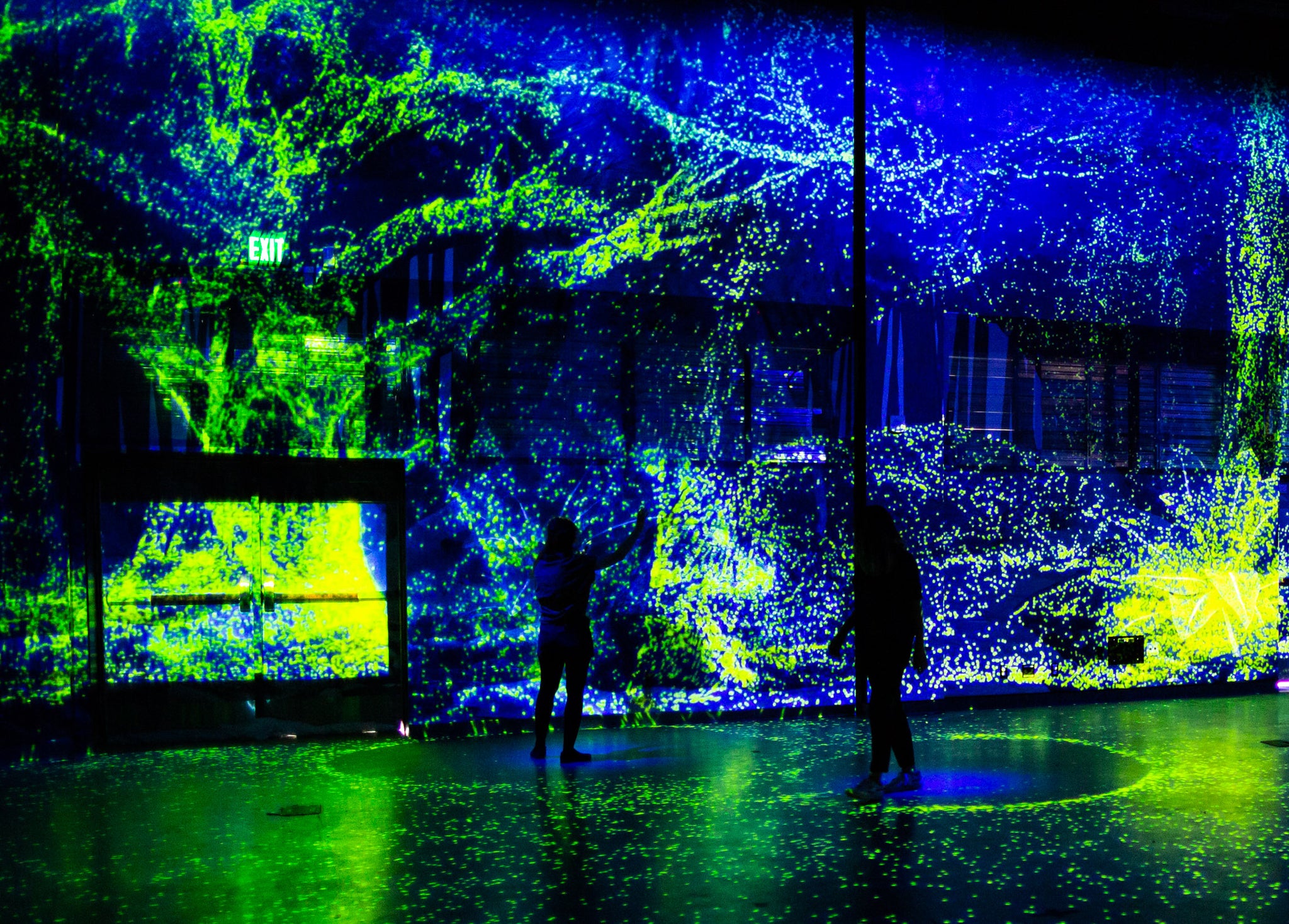 Perplexiplex, Meow Wolf Denver I Moment Factory