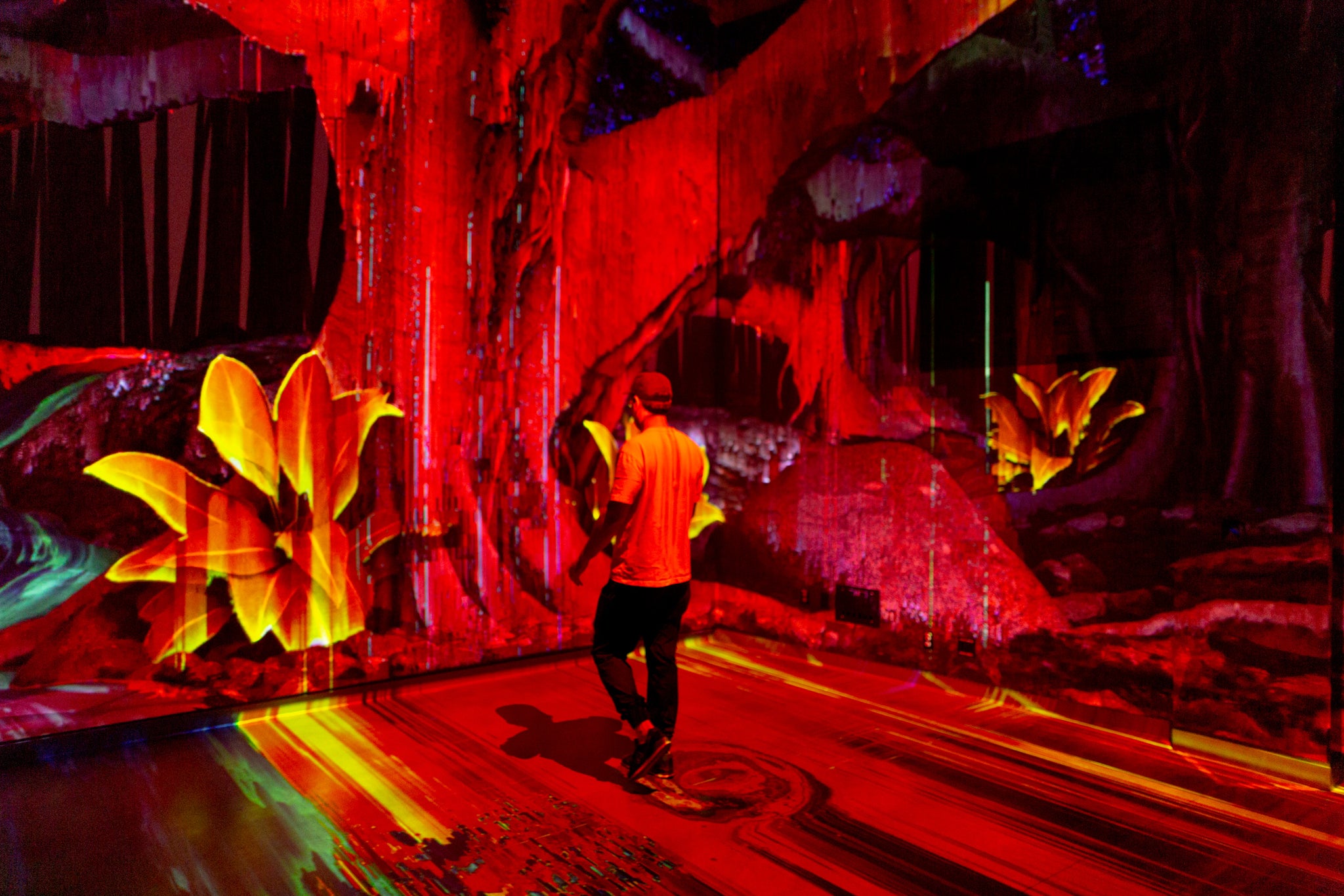 Perplexiplex, Meow Wolf Denver I Moment Factory