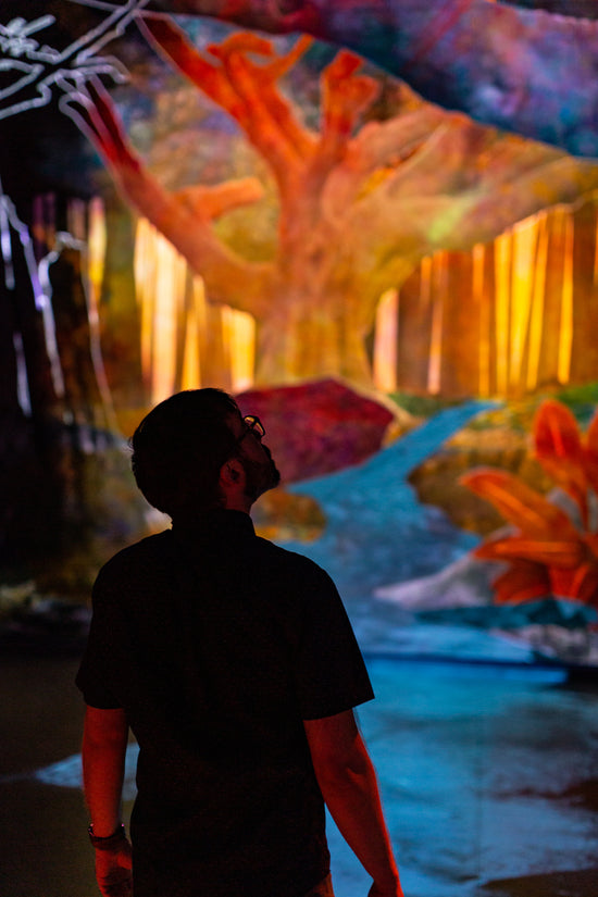 Perplexiplex, Meow Wolf Denver I Moment Factory