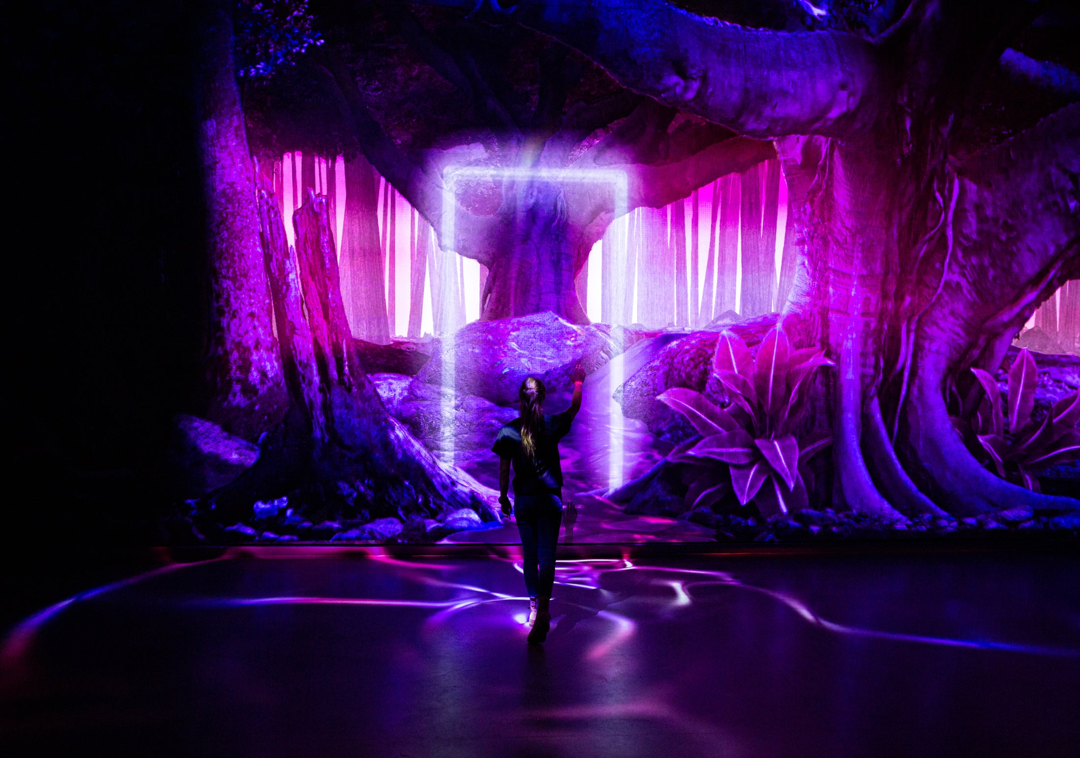 Perplexiplex, Meow Wolf Denver I Moment Factory