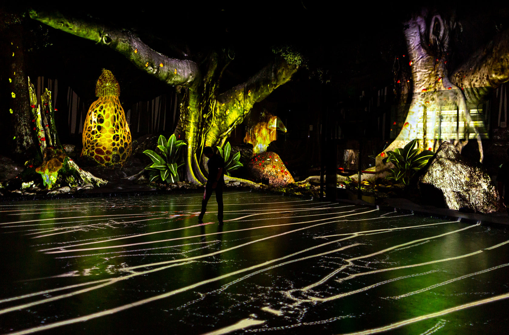 Perplexiplex, Meow Wolf Denver I Moment Factory