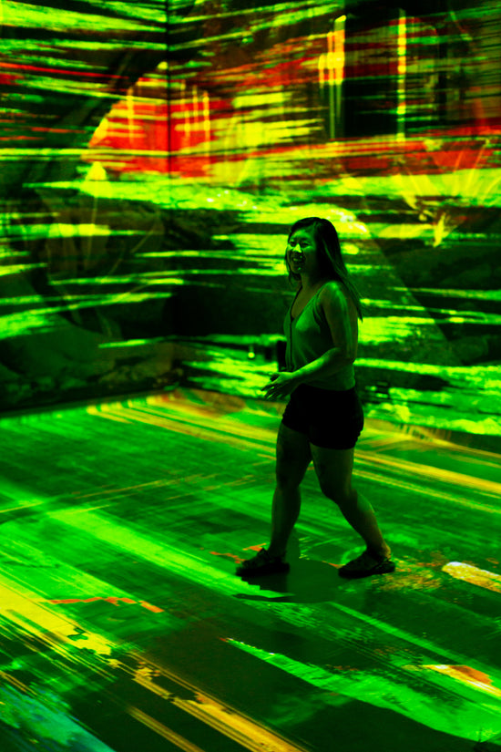 Perplexiplex, Meow Wolf Denver I Moment Factory