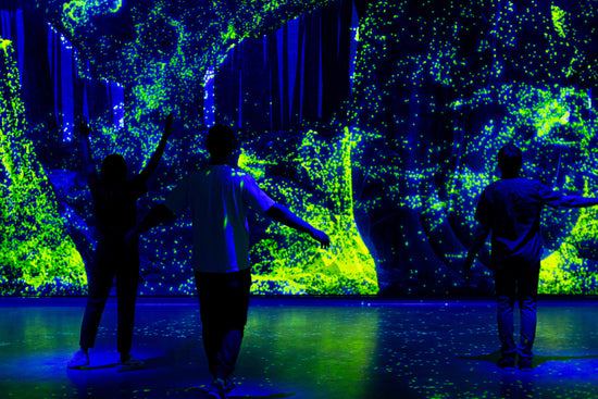 Perplexiplex, Meow Wolf Denver I Moment Factory