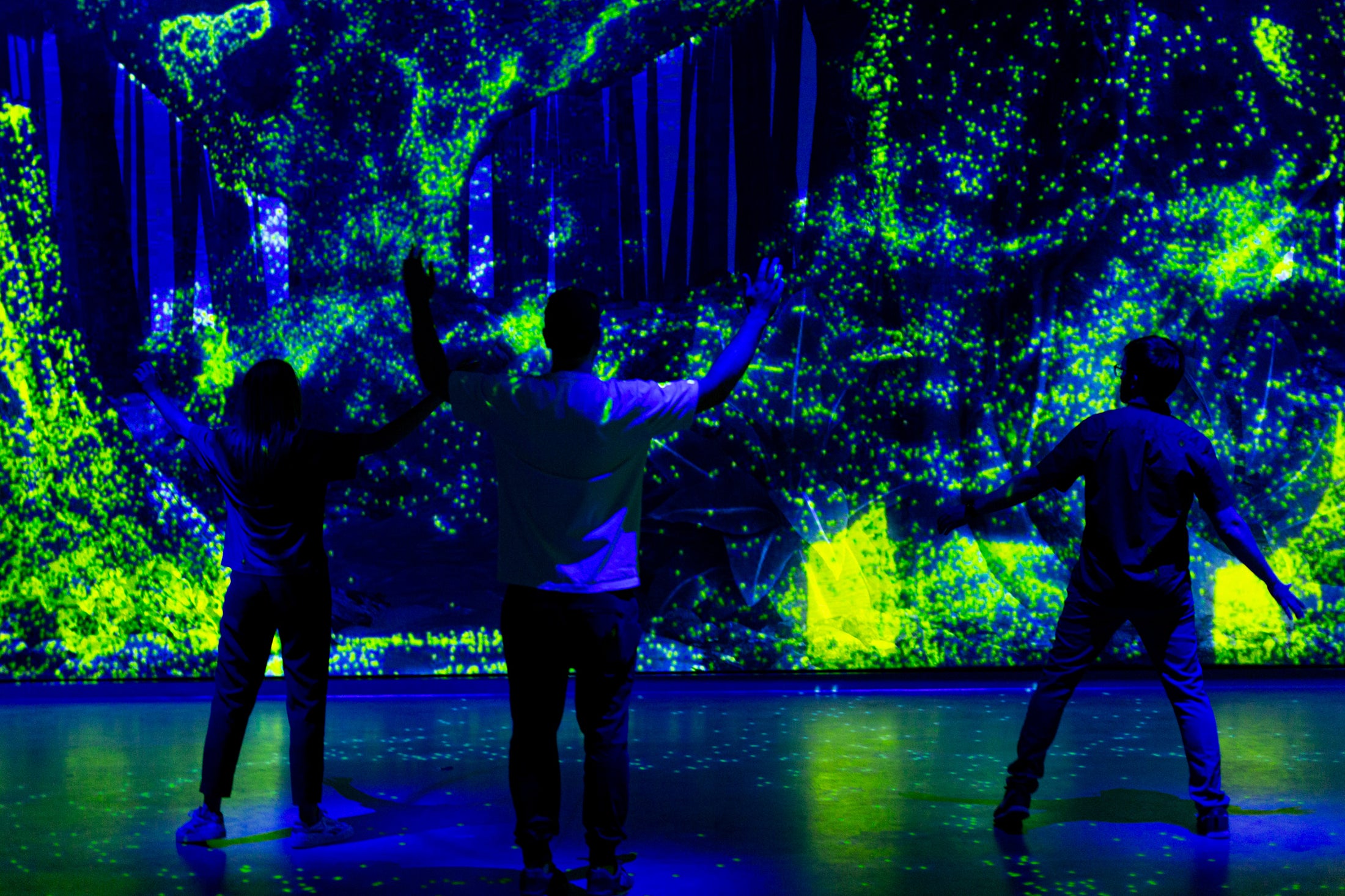 Perplexiplex, Meow Wolf Denver I Moment Factory