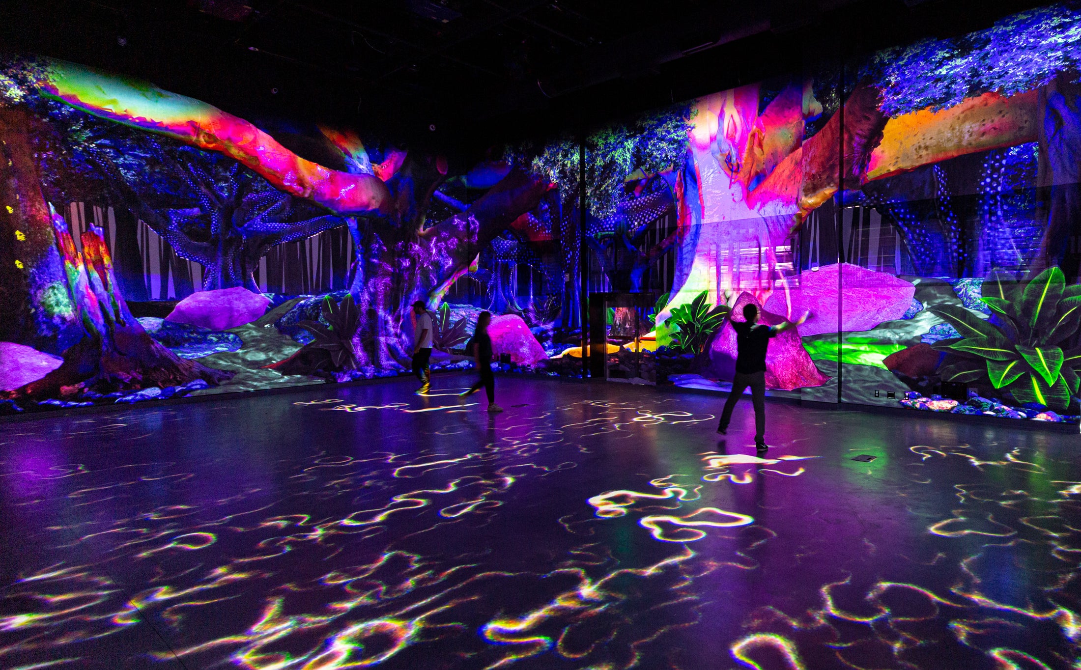 Perplexiplex, Meow Wolf Denver I Moment Factory
