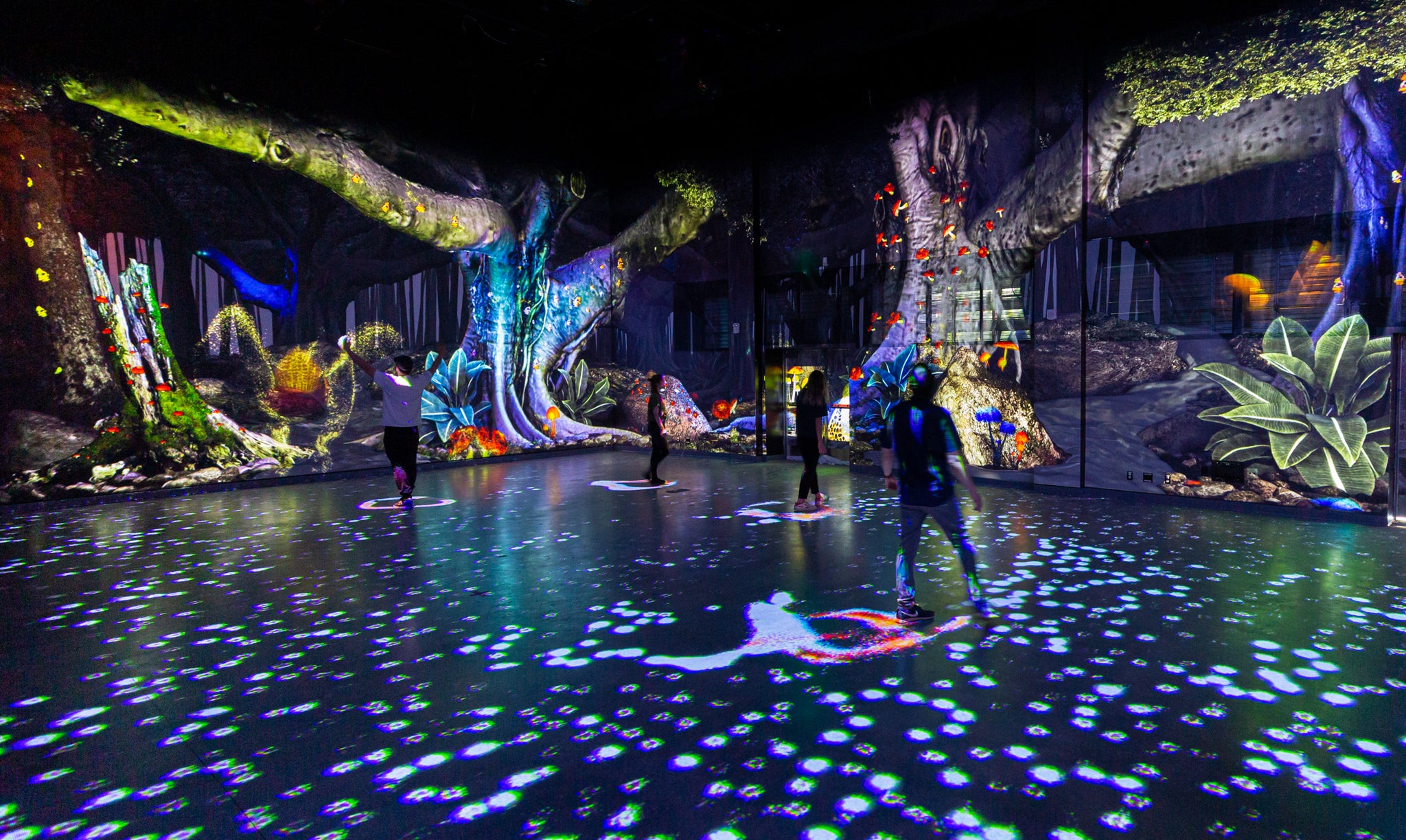 Perplexiplex, Meow Wolf Denver I Moment Factory