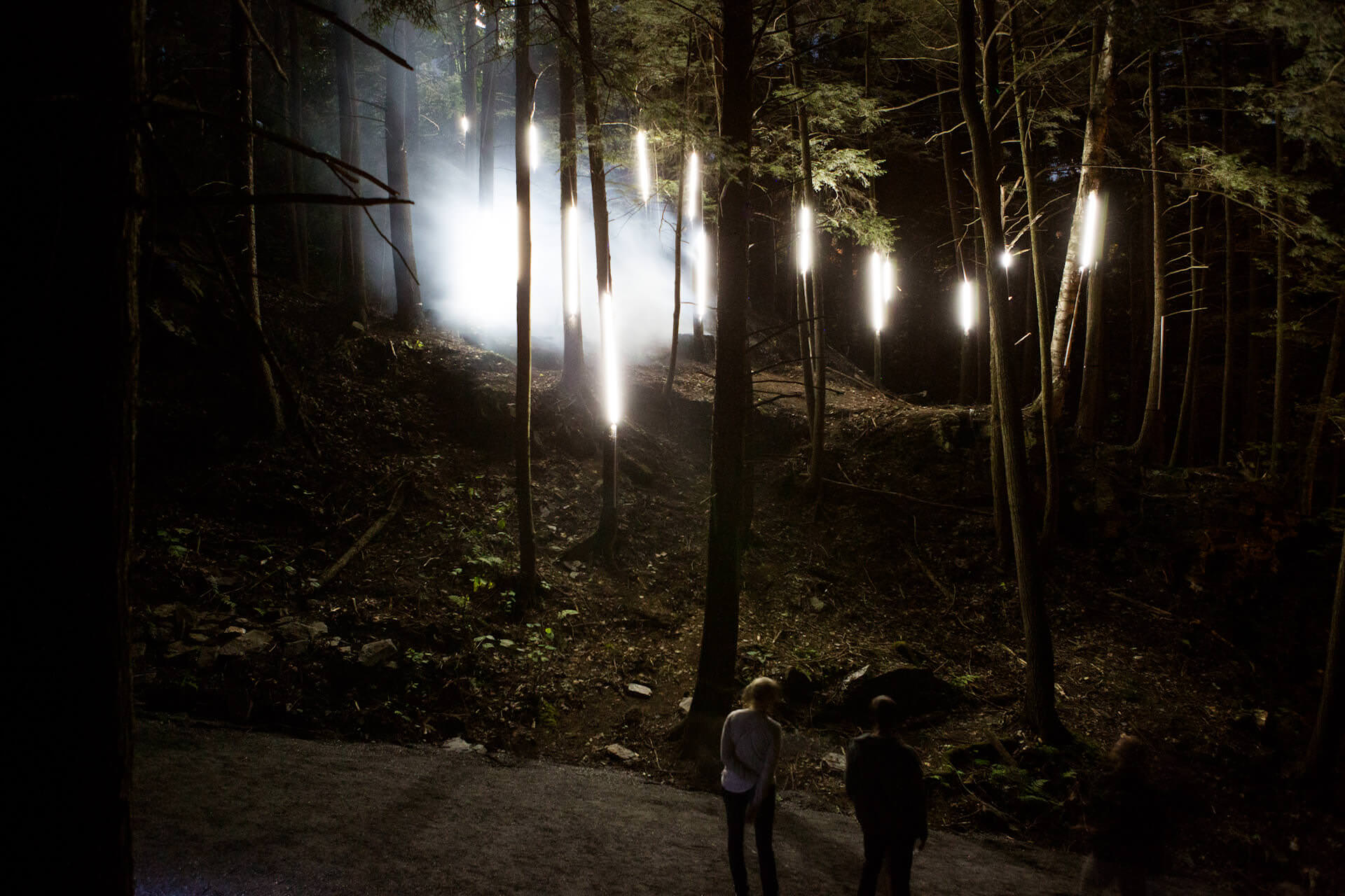 Foresta Lumina wins Japan Media Arts Festival’s Excellence Award ...
